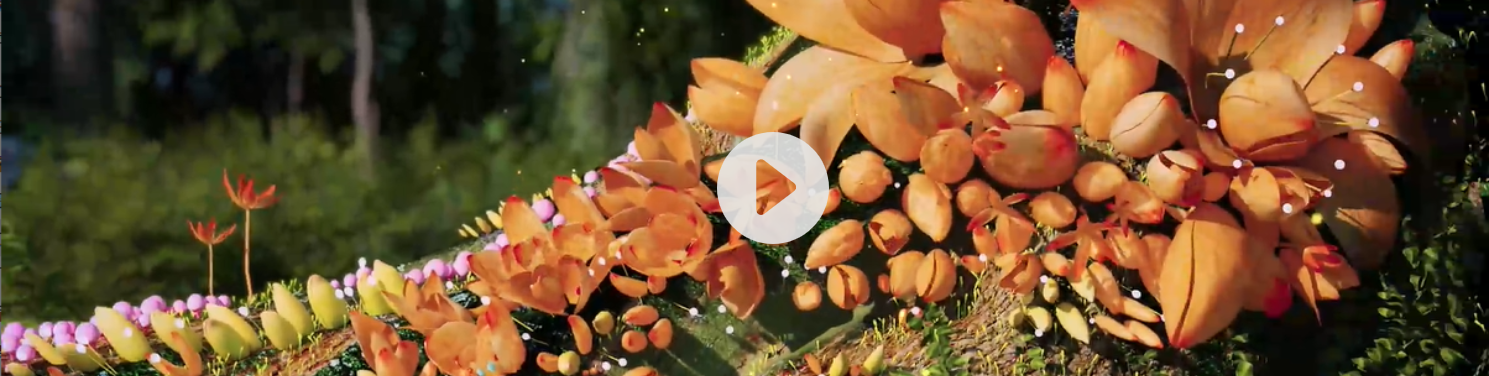 Video - Hytera